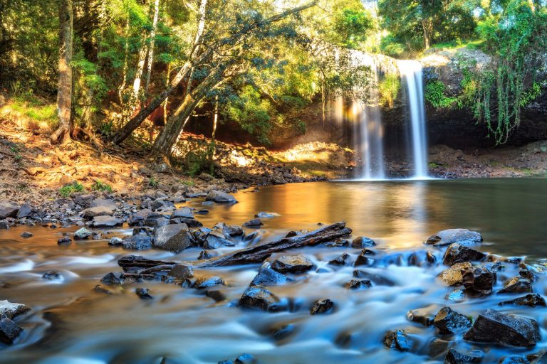 Bookings - Premier Motor Service